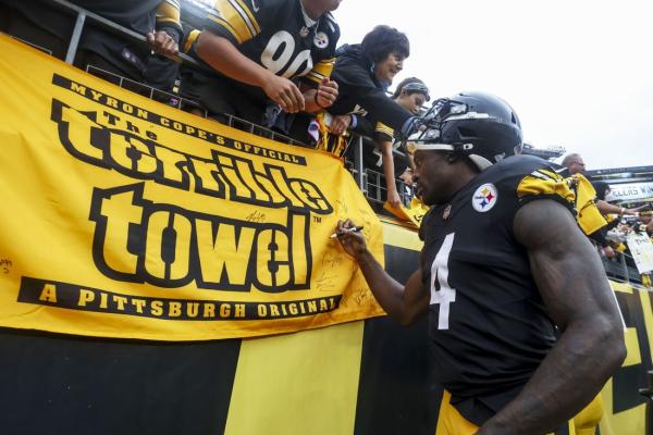 NFL looks into alleged history; fan denies sparking Metcalf strike with ...