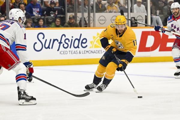 Predators, Wild looks to bounce back before year is done | WGFX-FM